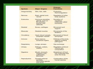 1-Foundation Block Lecture 1 (Organisation of the Human Body).ppt