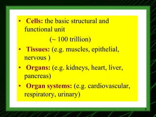 1-Foundation Block Lecture 1 (Organisation of the Human Body).ppt