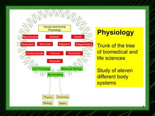 1-Foundation Block Lecture 1 (Organisation of the Human Body).ppt