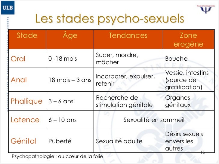 Cours sur Freud