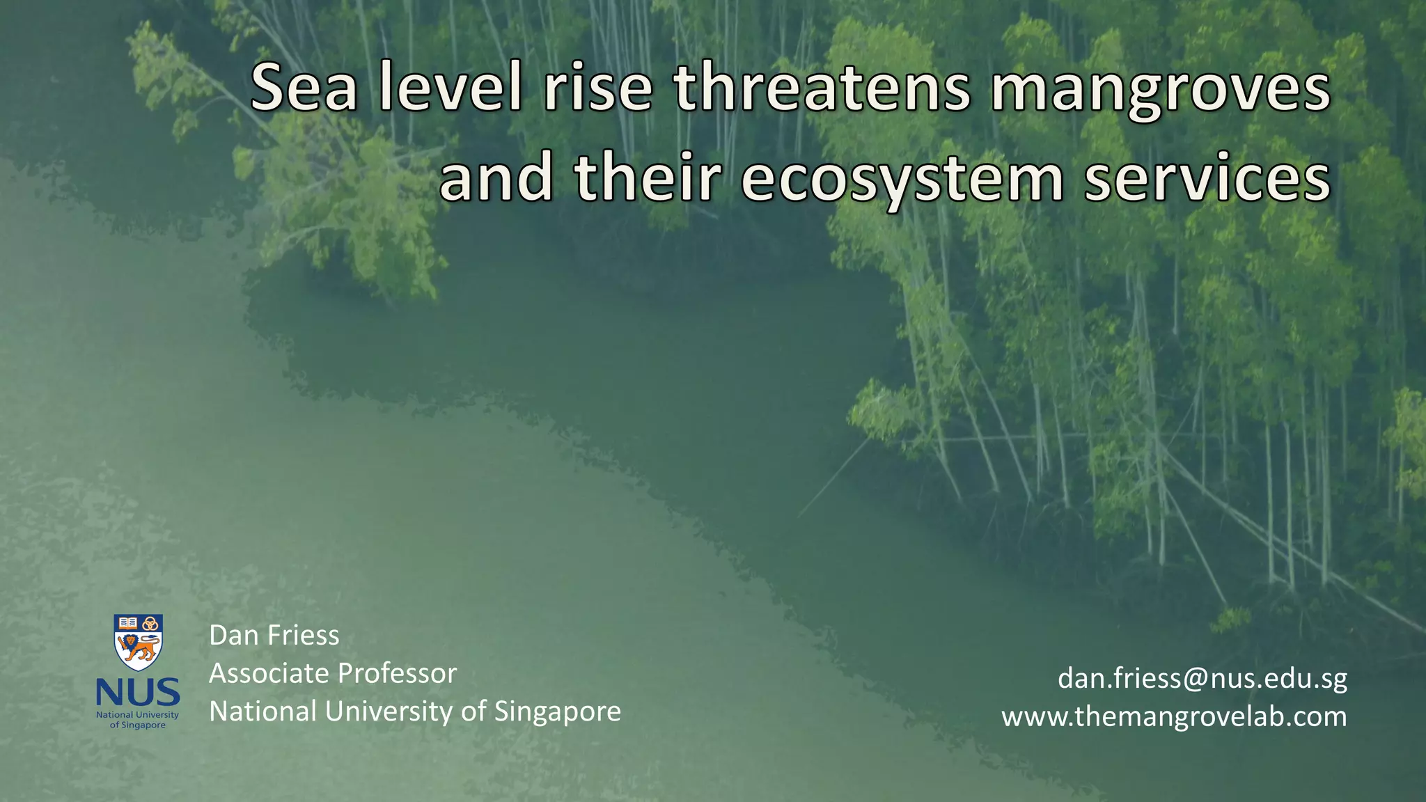 Sea Level Rise Is a Threat to Mangroves and Their Ecosystem Service | PPT