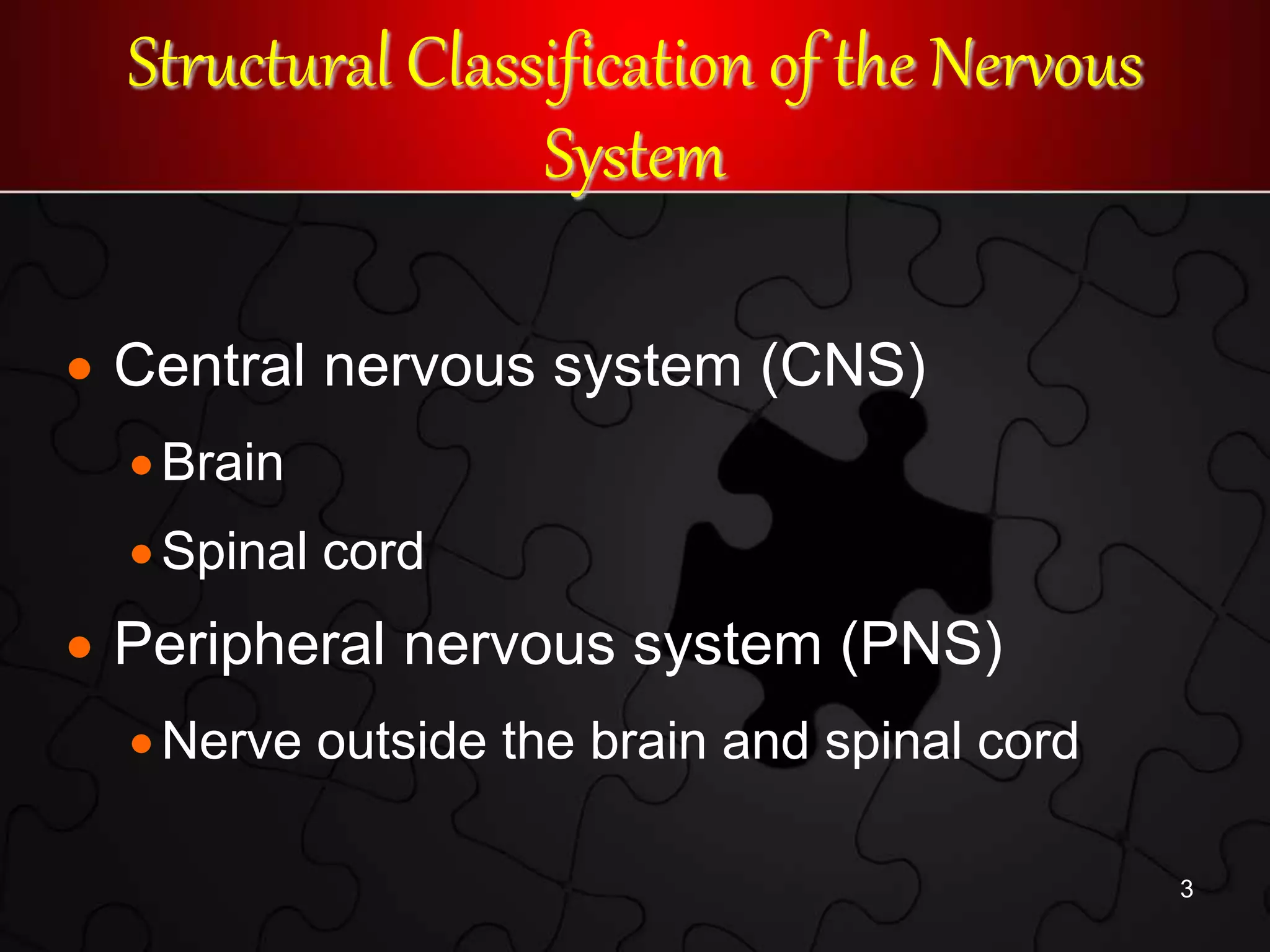 1 functional anatomy & physiology final | PPT