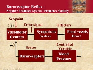 1.functional organisation of human body and the control of t | PPT