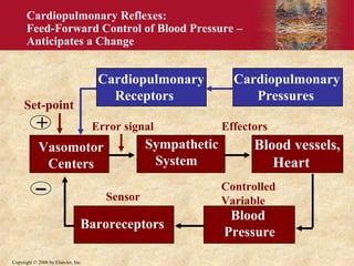 1.functional organisation of human body and the control of t | PPT