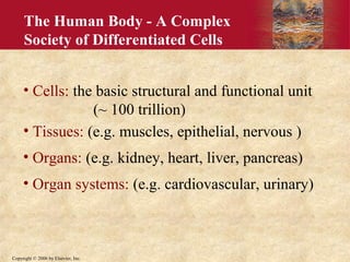 1.functional organisation of human body and the control of t | PPT