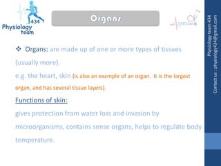 Comprehensive Overview of Human Body Functional Organization and Tissue ...
