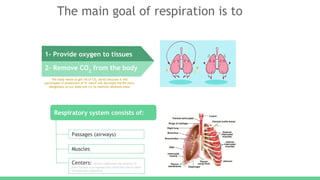 1- Functional organization of the respiratory system.pdf