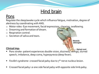 Part 1 function of brain and history taking of a neurological patient ...