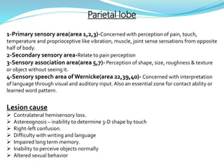 Part 1 function of brain and history taking of a neurological patient ...