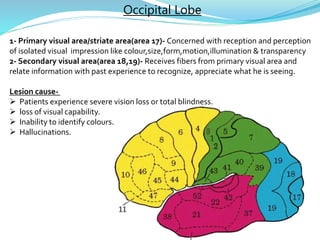 Part 1 function of brain and history taking of a neurological patient ...