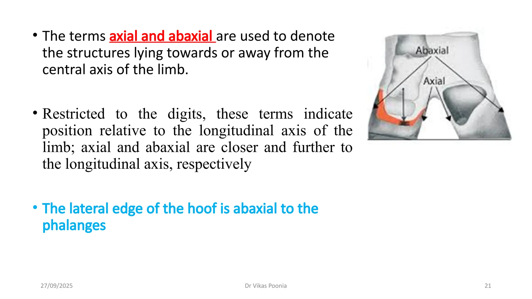 1-GENERAL ANATOMY & introduction to anatomy -2021.pptx