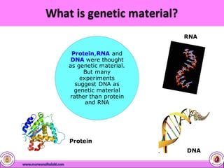 Genetic Material | PDF