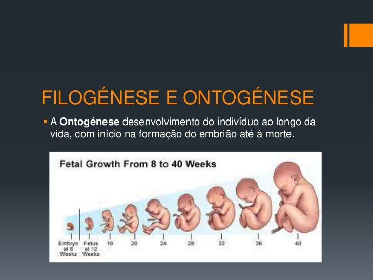 Psicologia-Genética