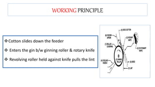 1-ginning.pptx document textile engineering | PPTX