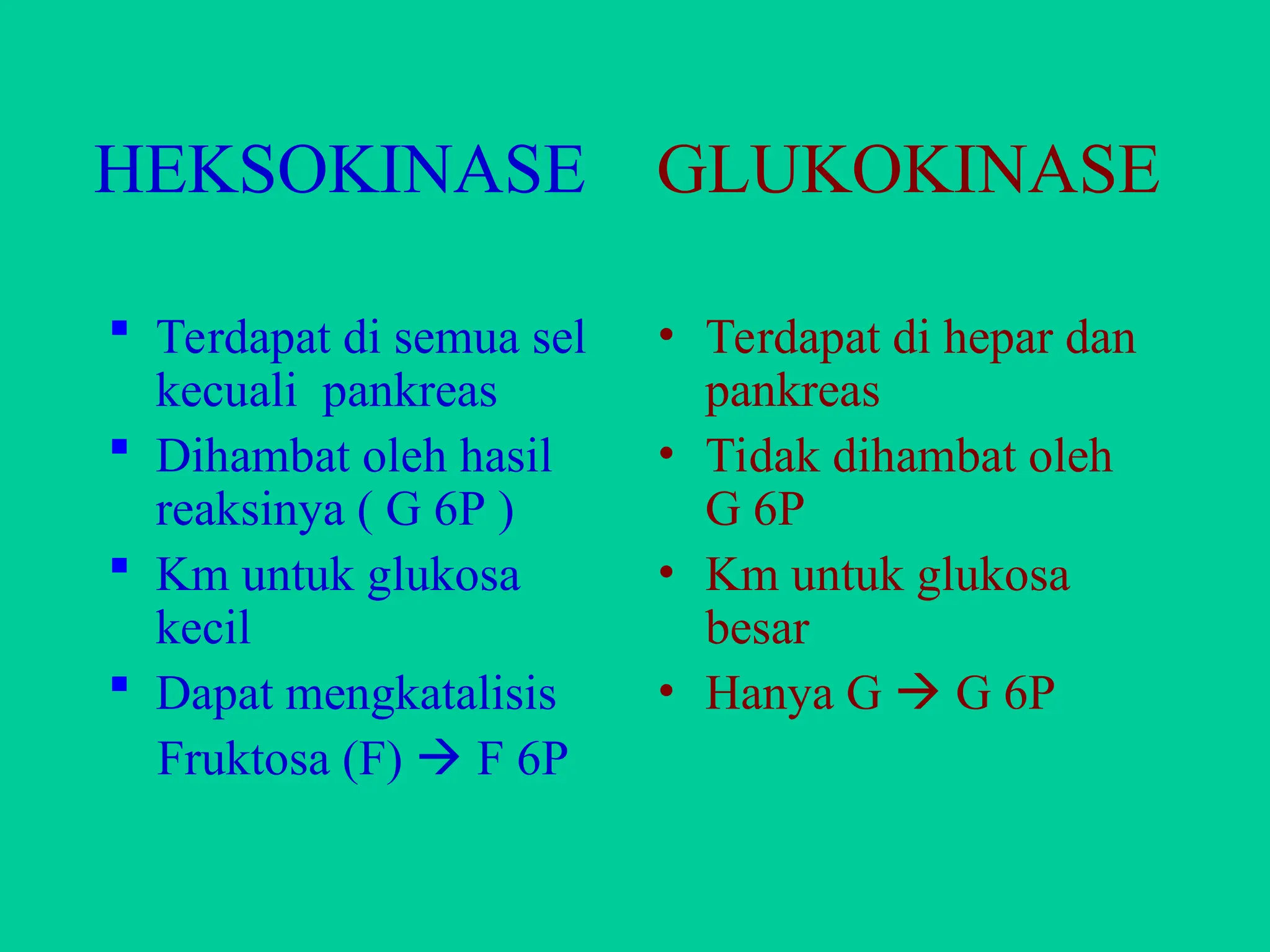 123456789101112131415167-glikolisis4.ppt