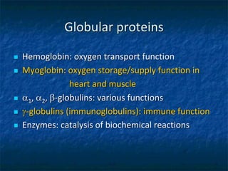 1- Globular proteins, myoglobin and hemoglobin.pdf