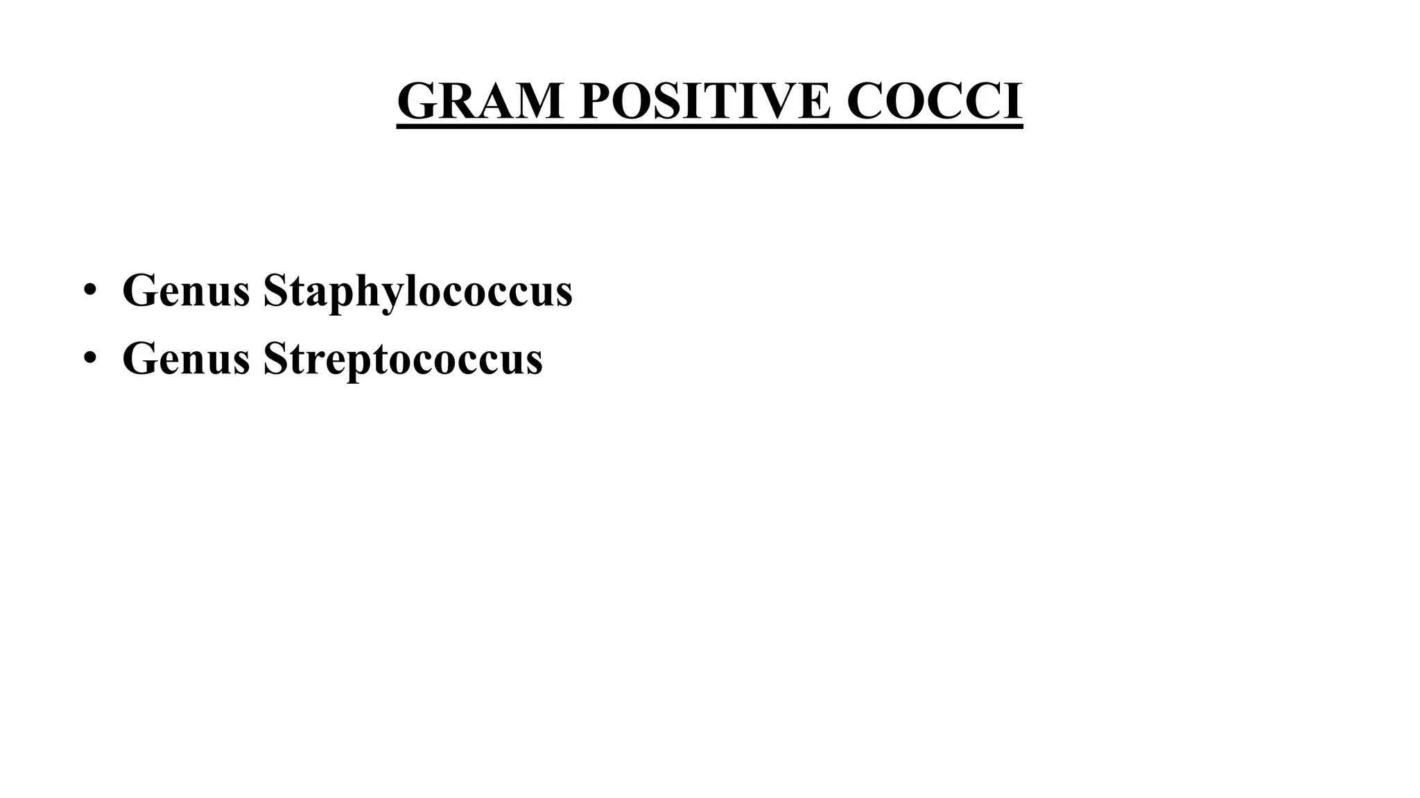 Gram Positive Cocci-Staphylococcus | PPTX