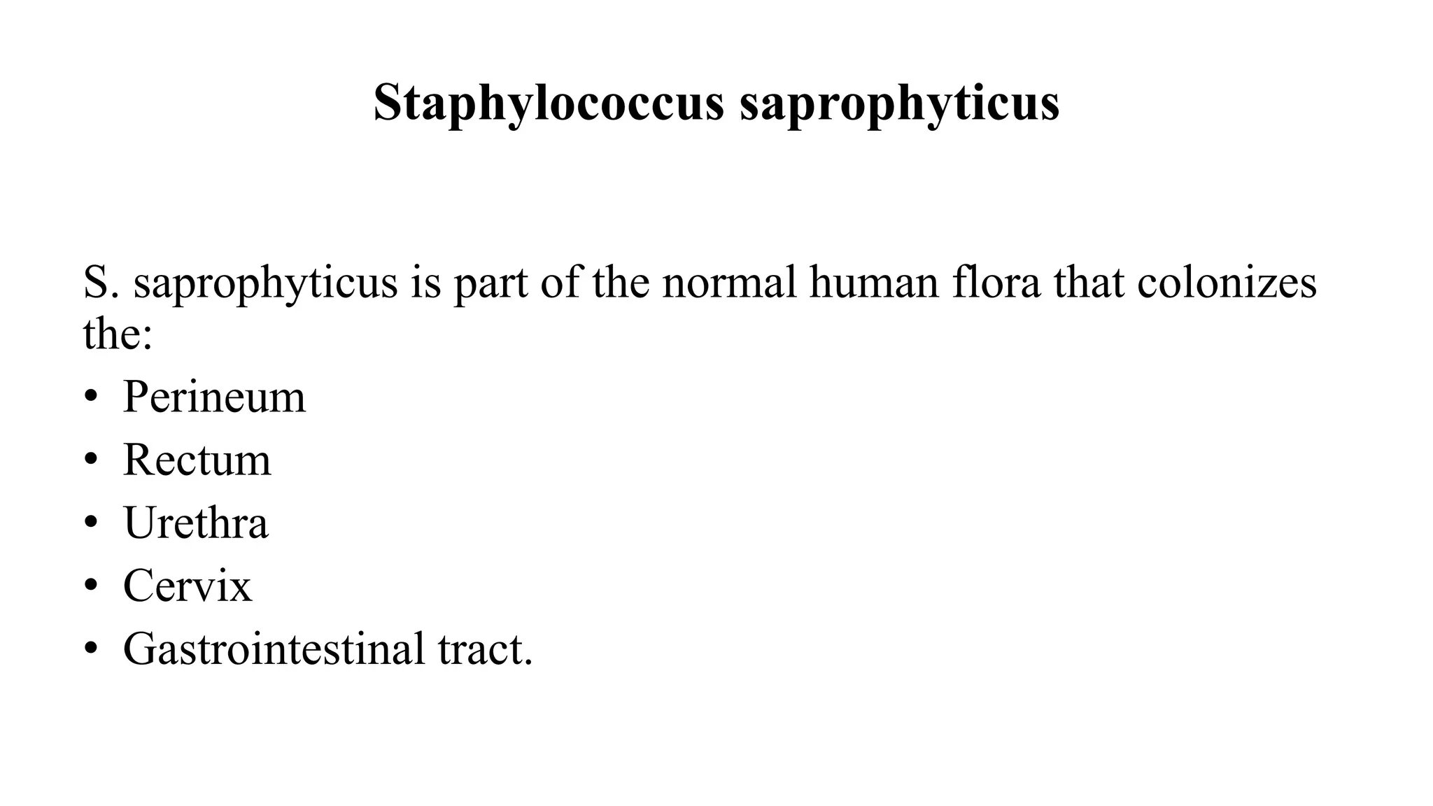 Gram Positive Cocci-Staphylococcus | PPTX