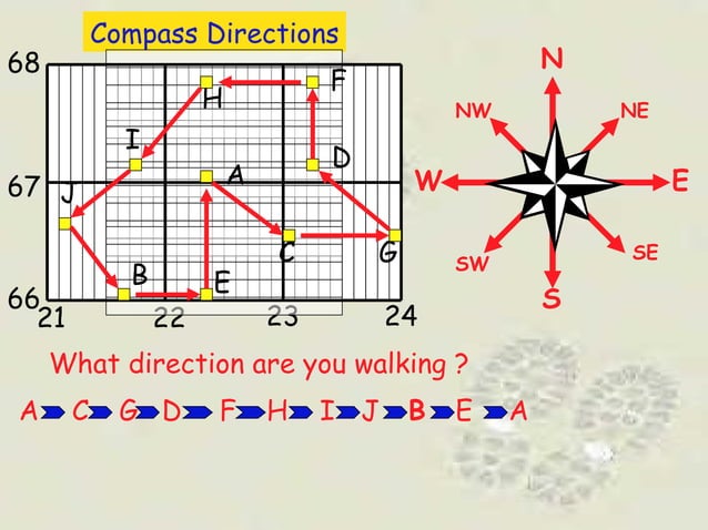 Grid and Area references | PPT | Geography | Science