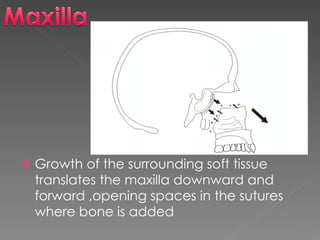 1. growth & development | PPT | Death, Injury, or Military Conflict ...