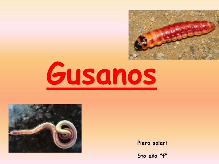 1 Gusanos Biologia