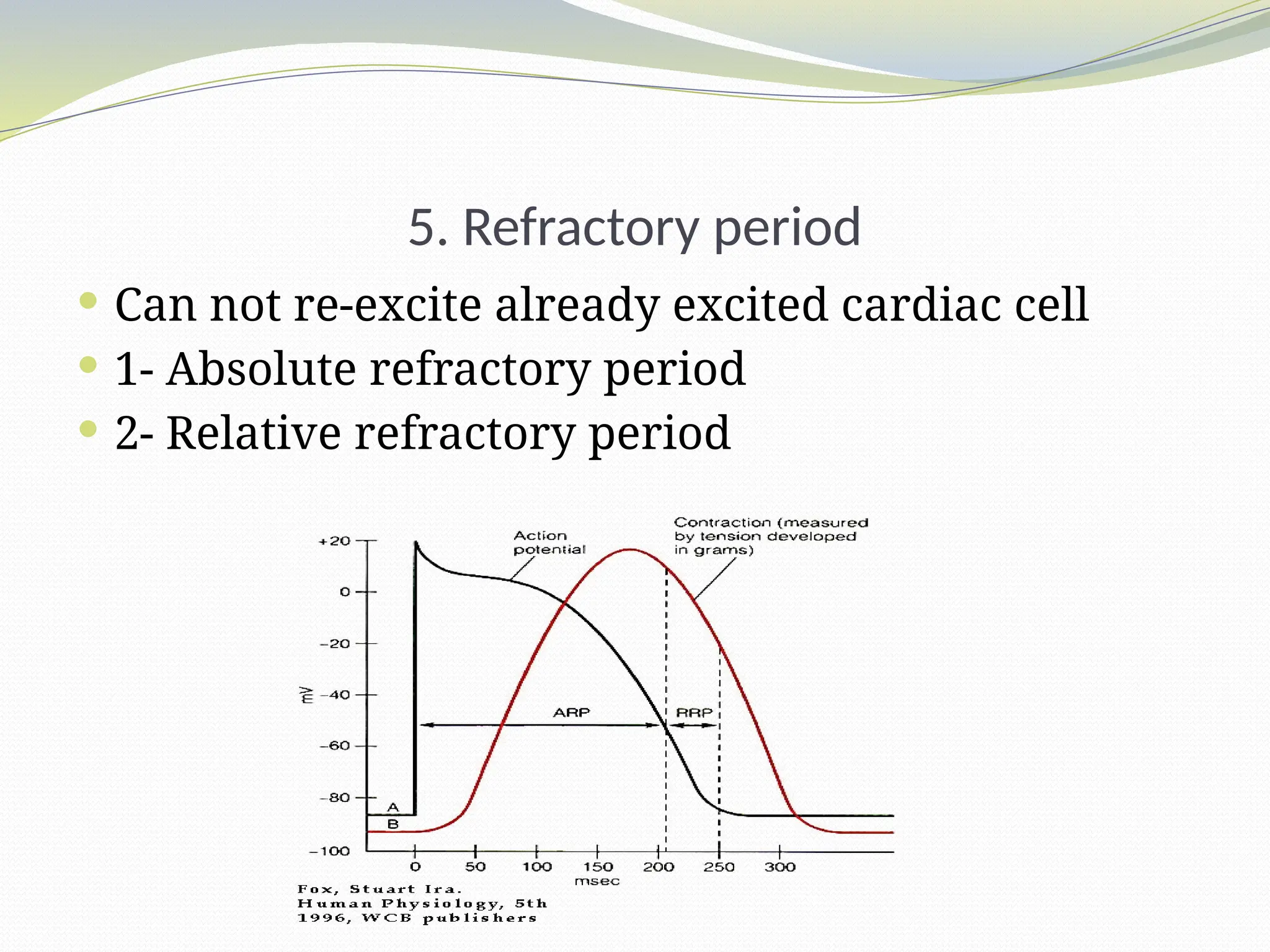 1-Heart-1.ppt 💓 What is the Human Heart? | PPT