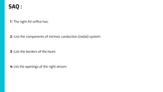 Anatomy of the heart and cardiovascular system | PPT
