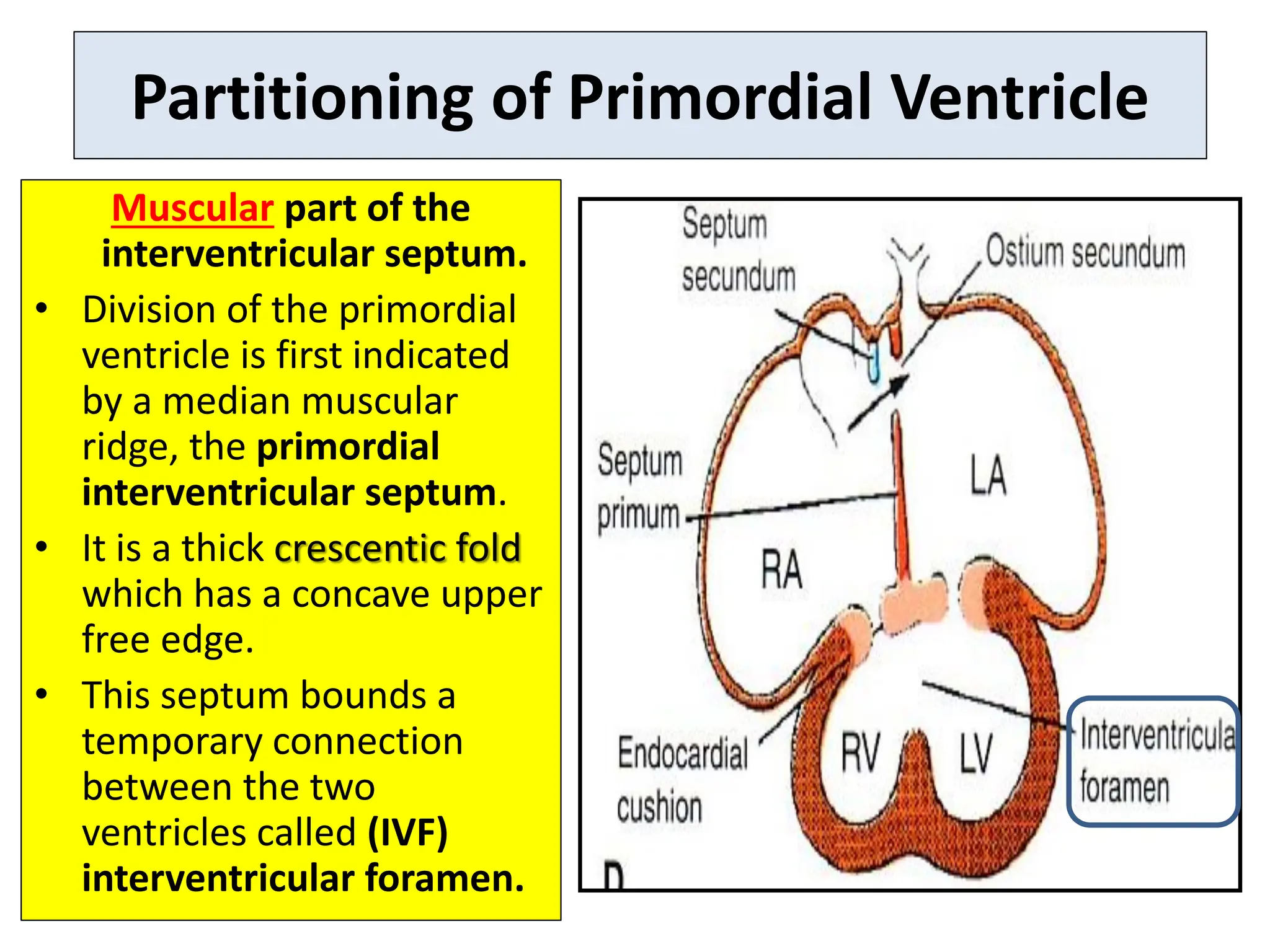 Embryology of heart and understand basic heart disease | PPT