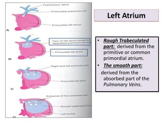 Embryology of heart and understand basic heart disease | PPT
