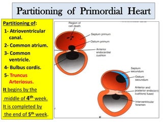 Embryology of heart and understand basic heart disease | PPT