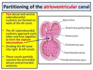 Embryology of heart and understand basic heart disease | PPT