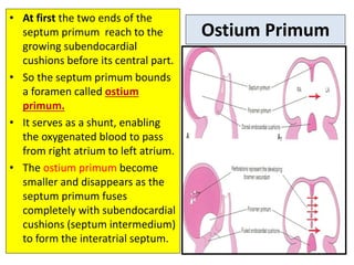 Embryology of heart and understand basic heart disease | PPT