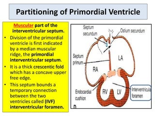 Embryology of heart and understand basic heart disease | PPT