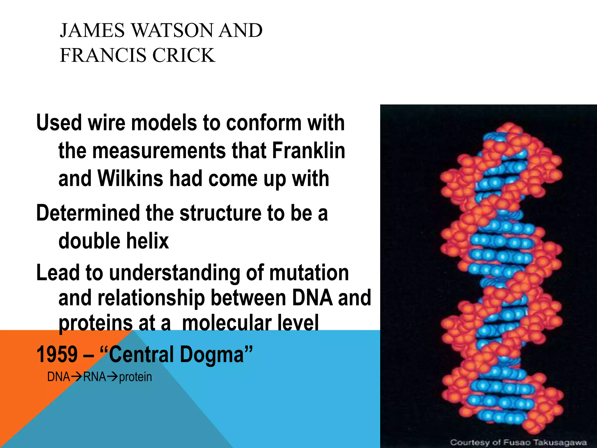 1 history of genetics | PPT