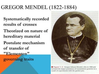 1 history of genetics | PPT