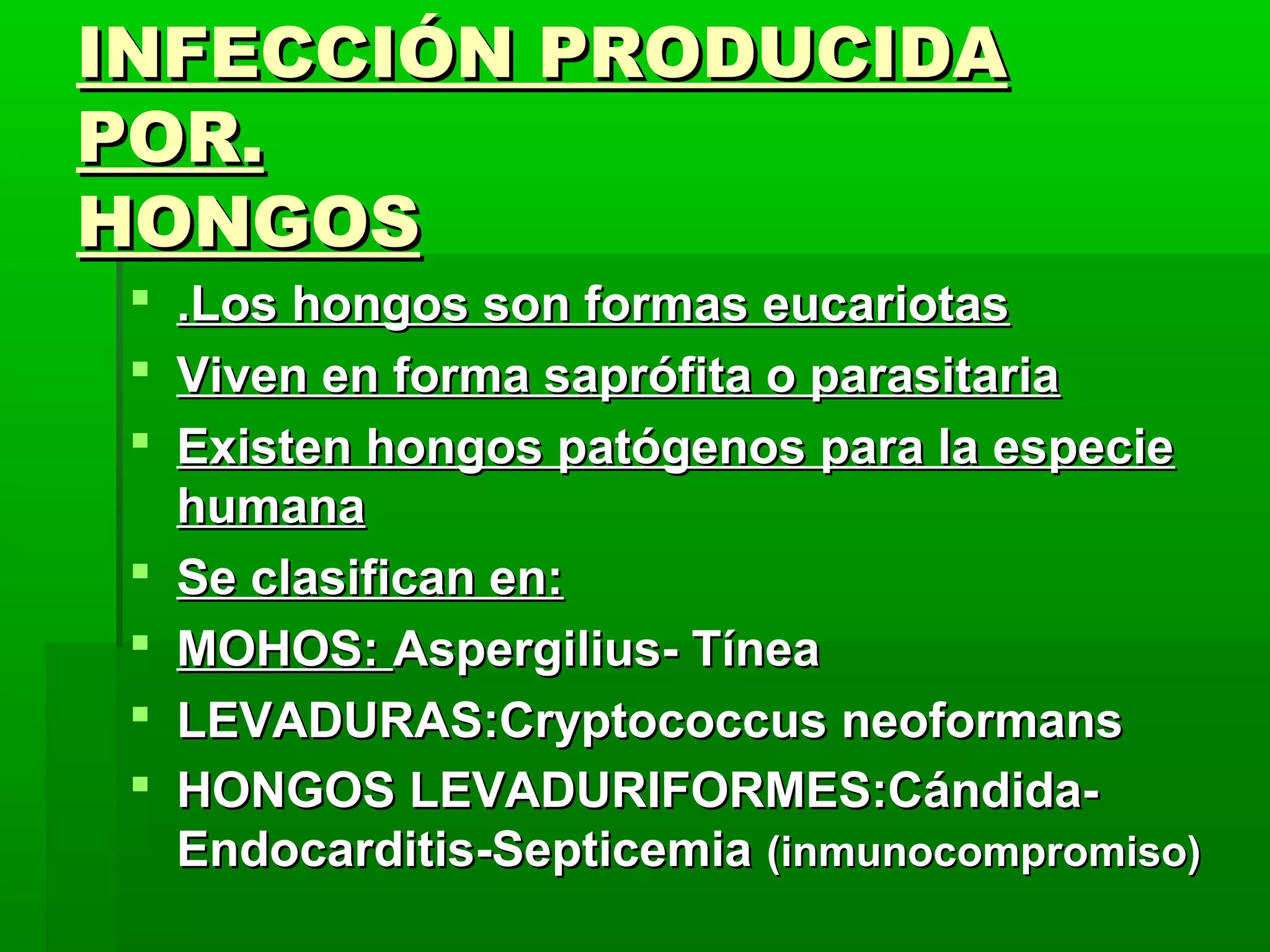 1 hongos -generalidades | PPT