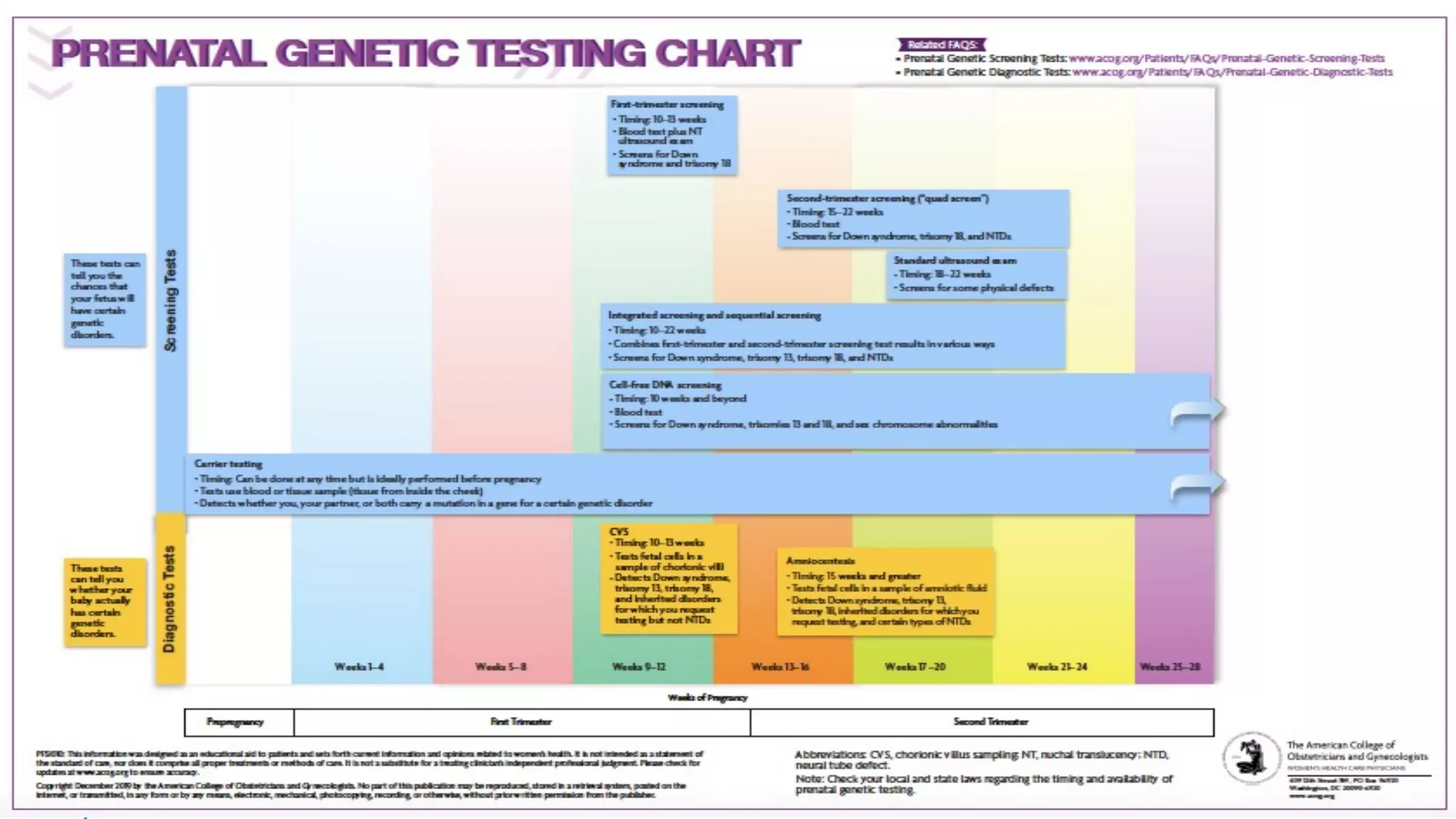 ESTIMATION OF GESTATIONAL AGE | PDF