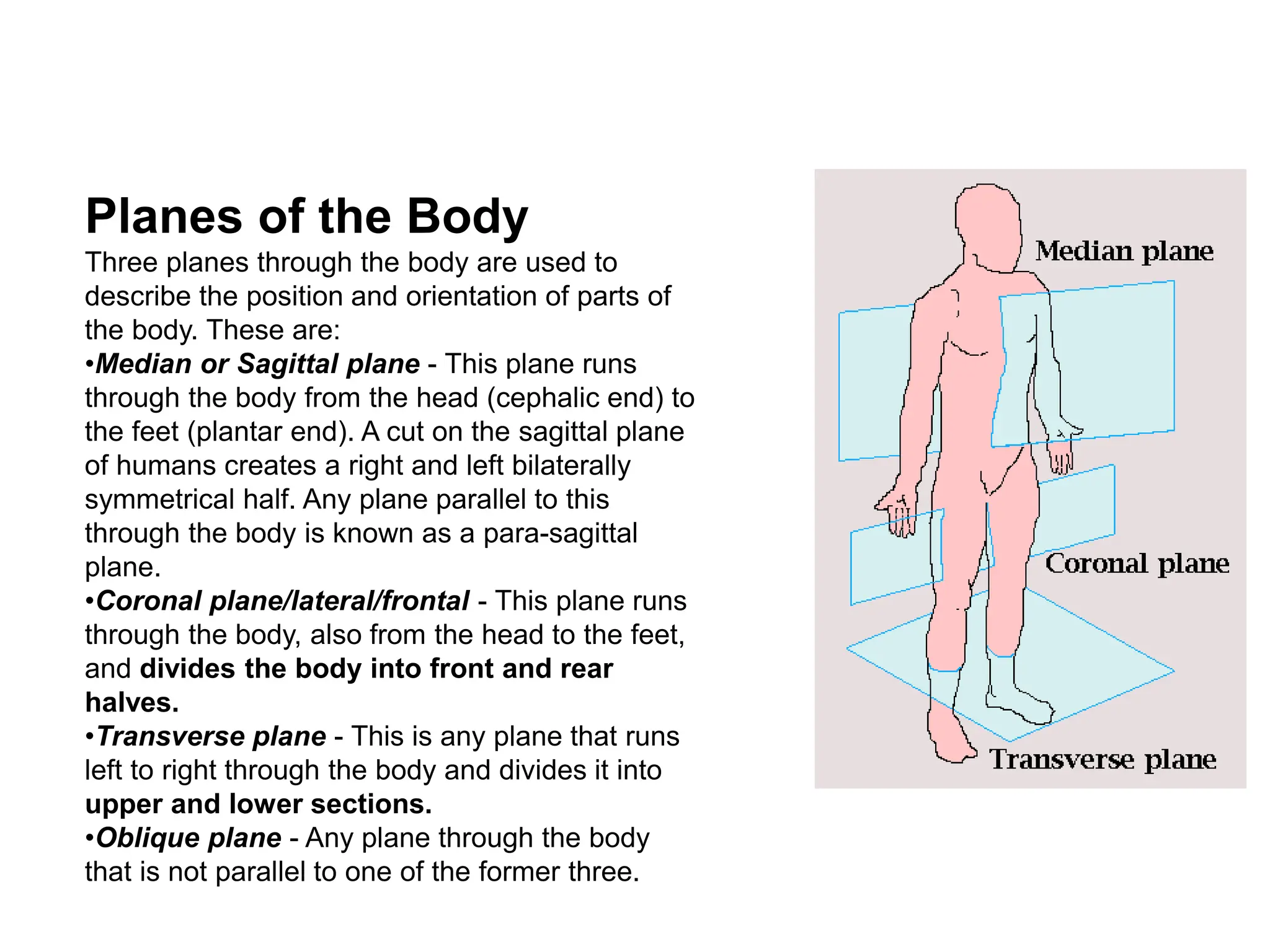 1-human biology.pptx year 1 biologylllll | PPTX