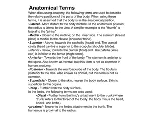 1-human biology.pptx year 1 biologylllll | PPTX