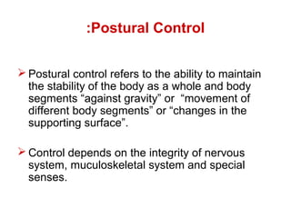 1 human posture | PPT
