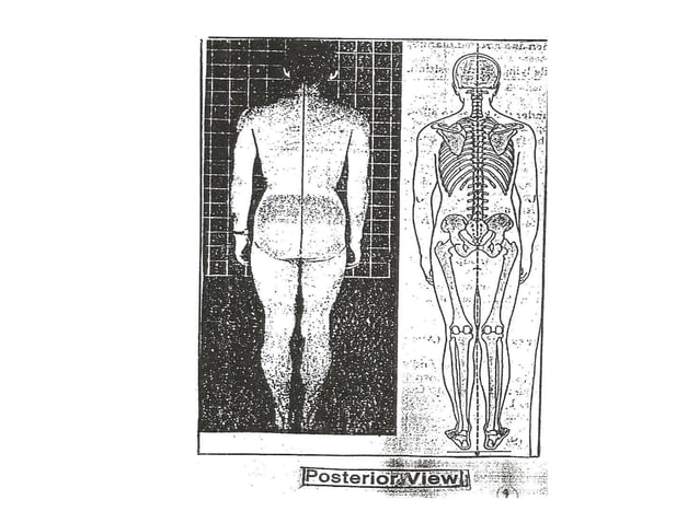 1 human posture | PPT
