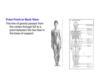HUMAN POSTURE and it is help full for physiotherapy and neursing ...