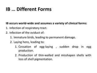 Avian Infectious Bronchitis IB Disease | PPTX