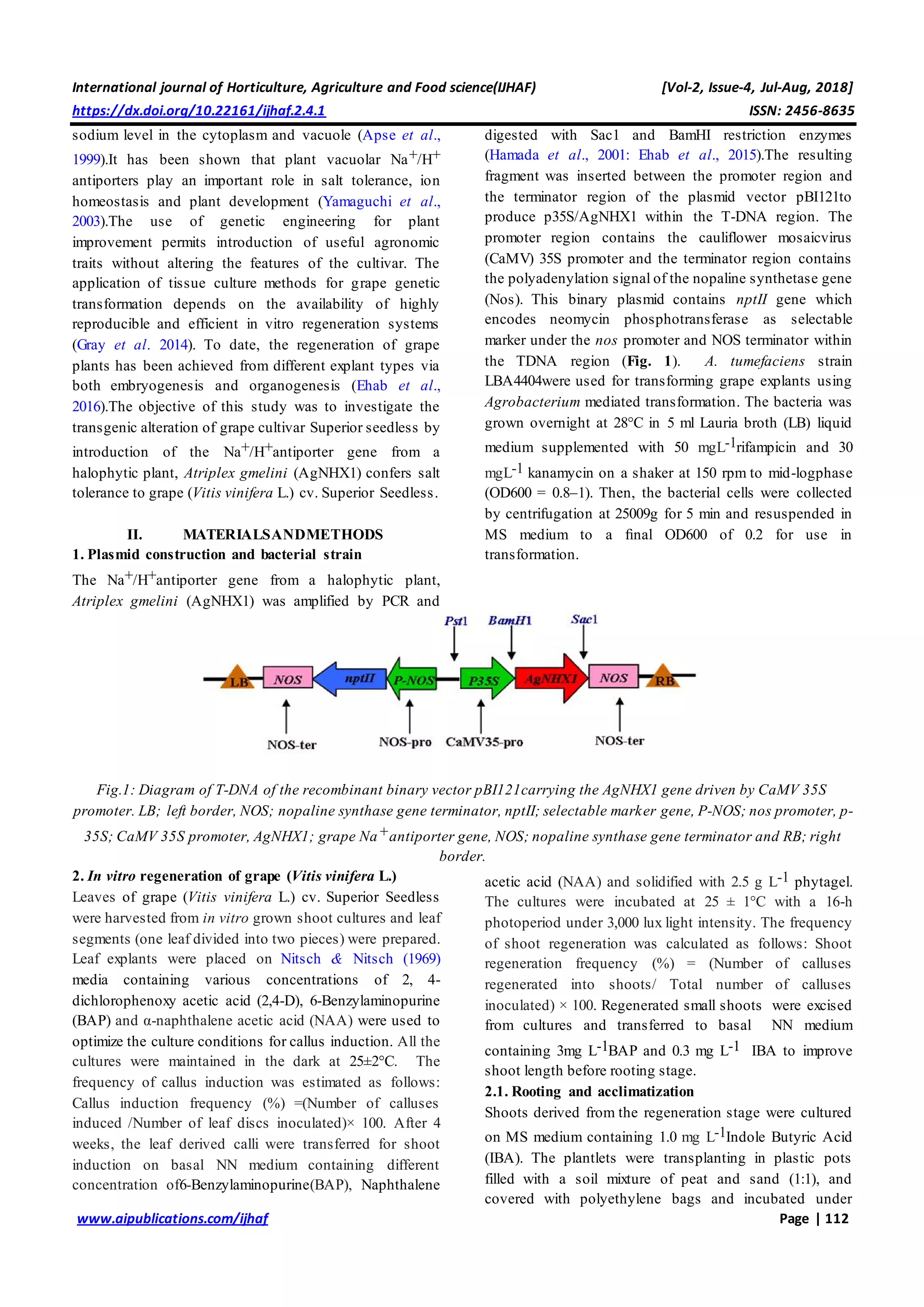 Production of Genetically Modified Grape (Vitis vinifera L.) Plants | PDF