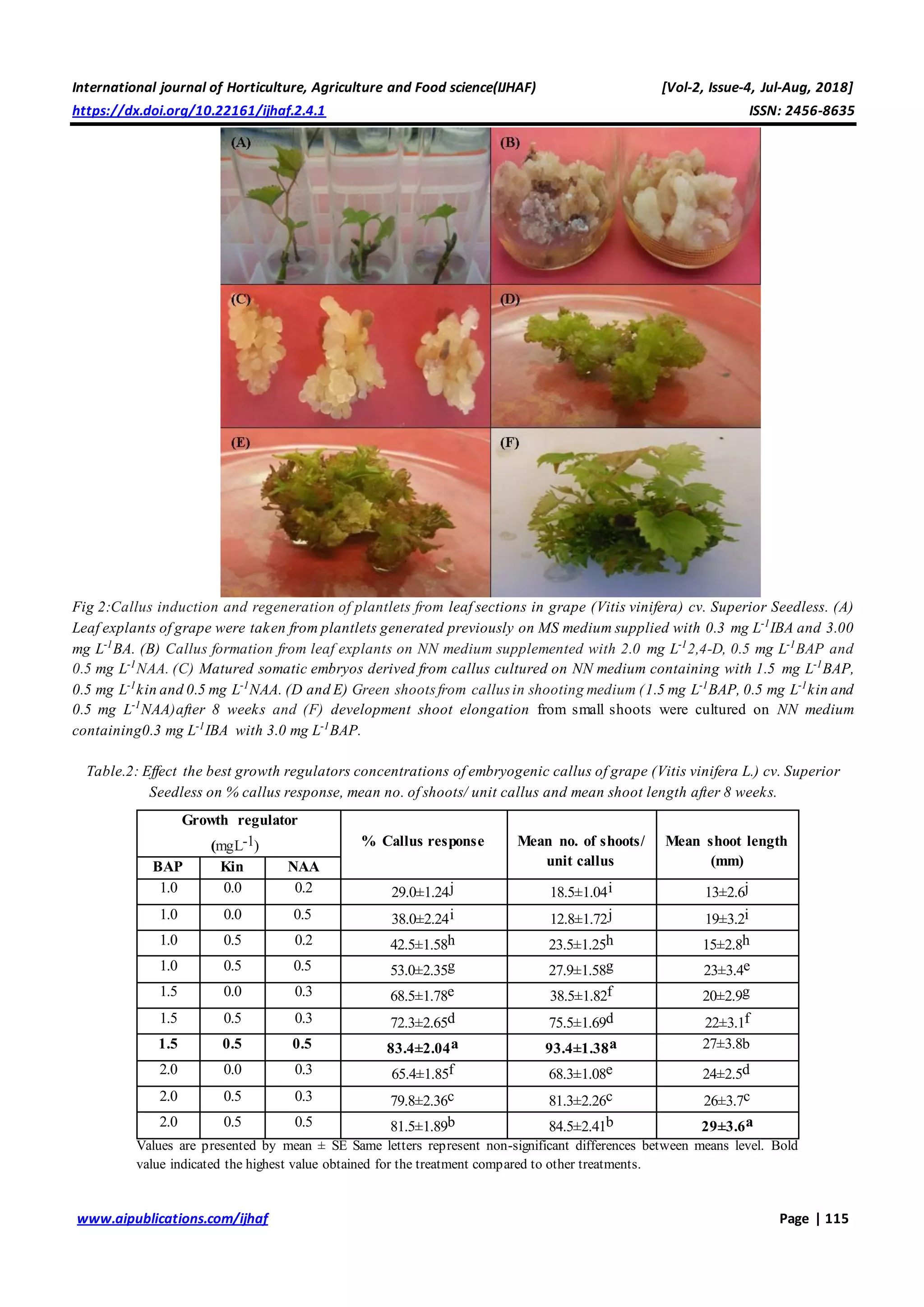 Production of Genetically Modified Grape (Vitis vinifera L.) Plants | PDF