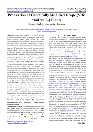Production of Genetically Modified Grape (Vitis vinifera L.) Plants | PDF