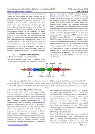 Production of Genetically Modified Grape (Vitis vinifera L.) Plants | PDF