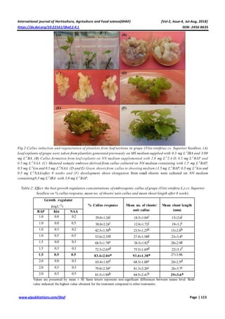 Production of Genetically Modified Grape (Vitis vinifera L.) Plants | PDF