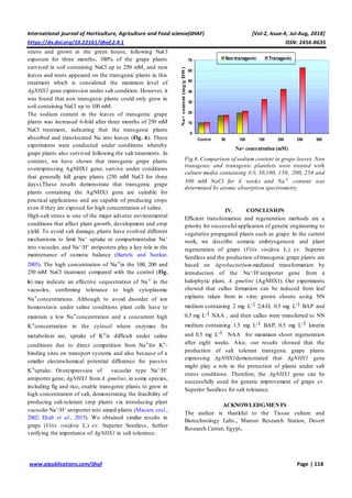 Production of Genetically Modified Grape (Vitis vinifera L.) Plants | PDF