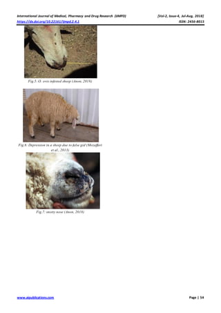 Nasal Myiasis in animals due to Oestridae - A Mini Review | PDF